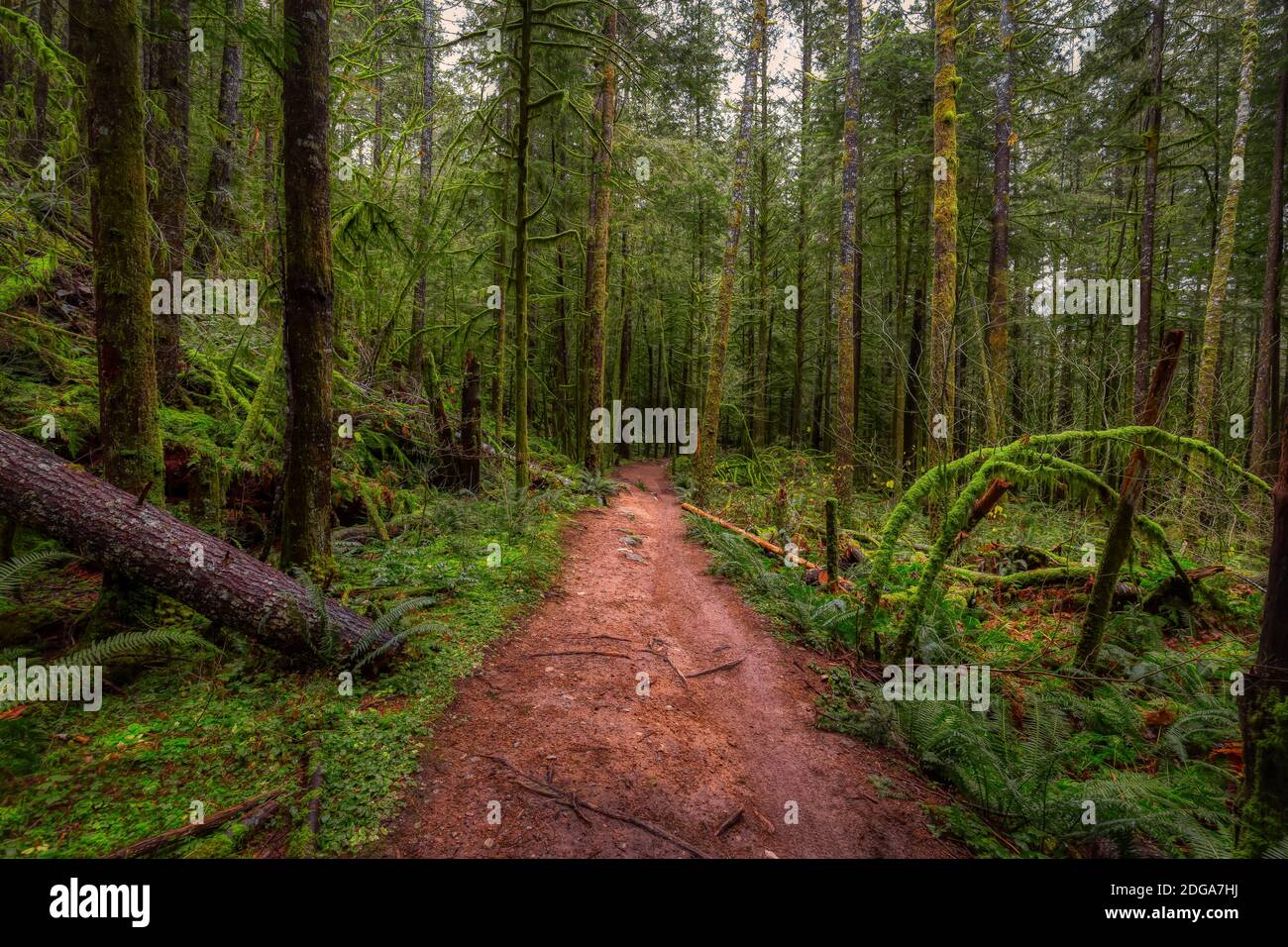 Canada british columbia alice hi-res stock photography and images - Alamy