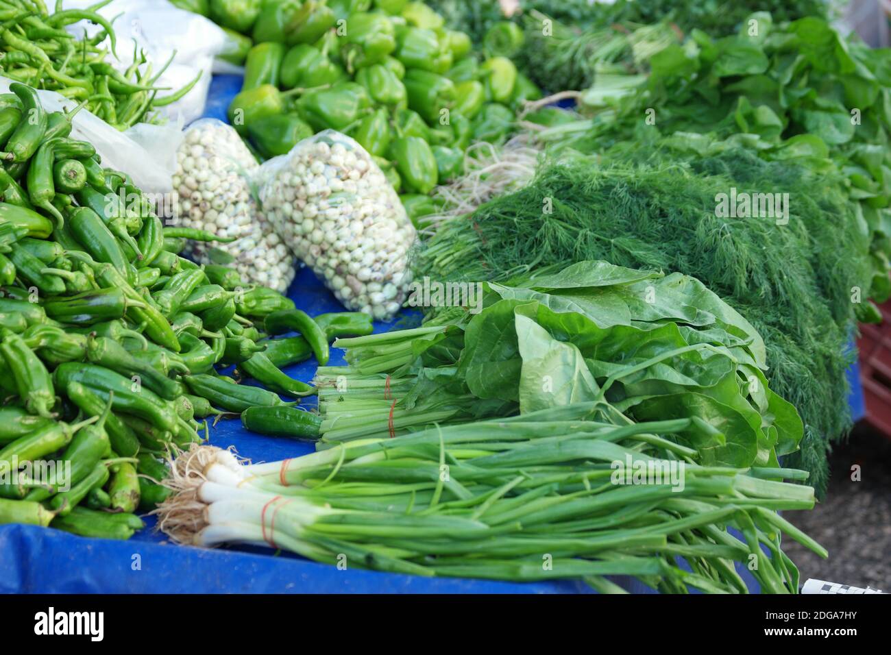 Herb and vegetable display hi-res stock photography and images - Alamy