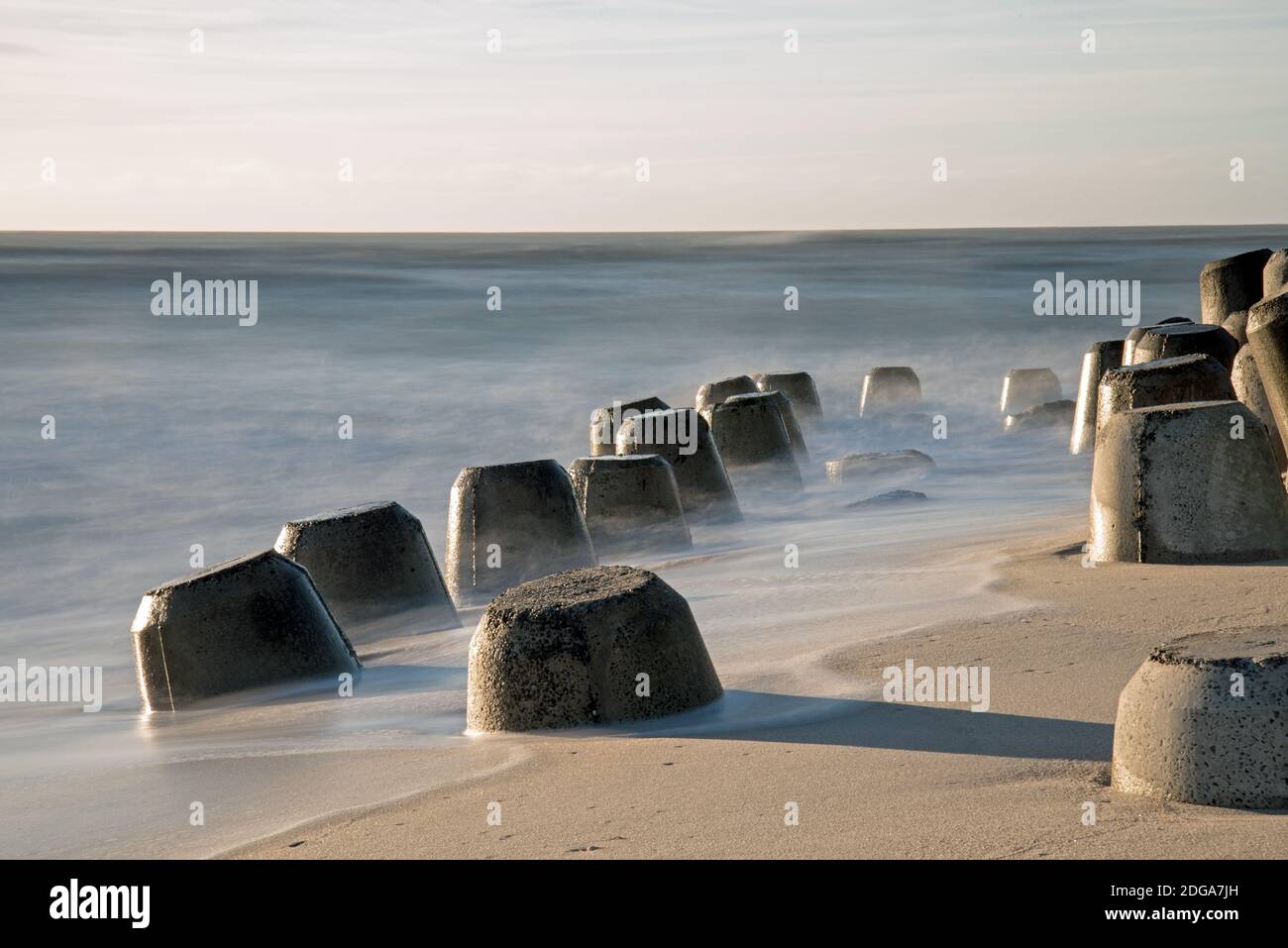 Tetrapods hi-res stock photography and images - Alamy