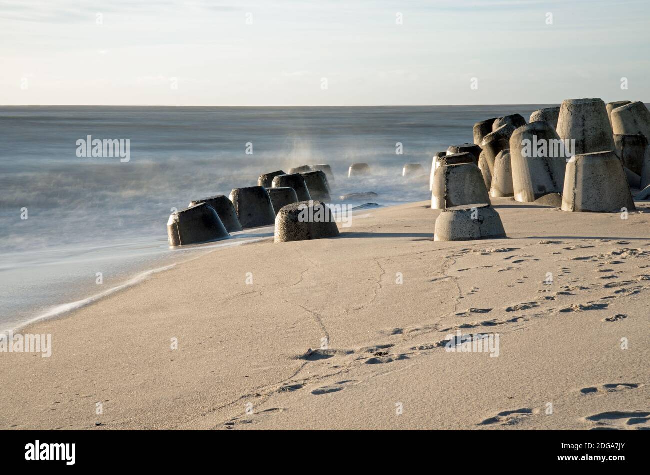 Tetrapods hi-res stock photography and images - Alamy