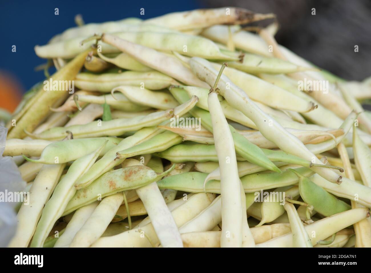 Pile of freshly harvested beans pods at farmers market Stock Photo - Alamy