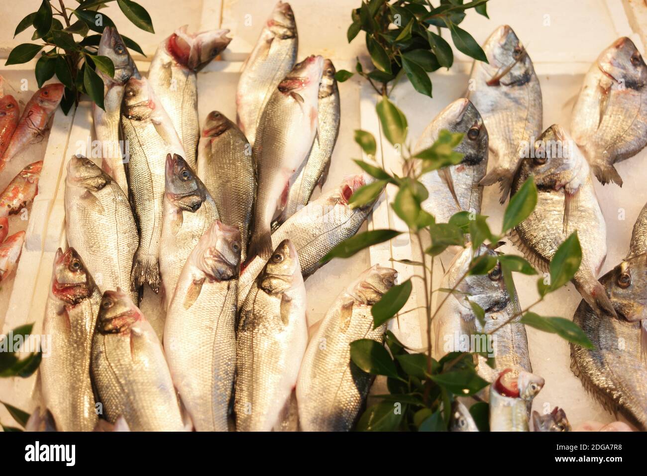 Raw fish on display at fish market Stock Photo - Alamy