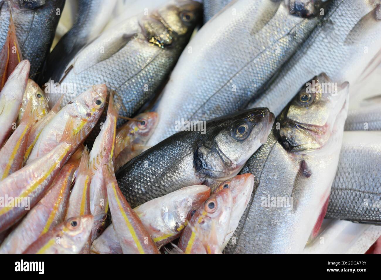 Fish for sale on market stall Stock Photo - Alamy