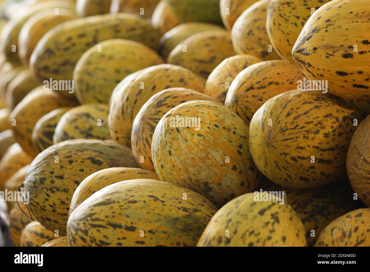 Pile of yellow water melons close up Stock Photo - Alamy