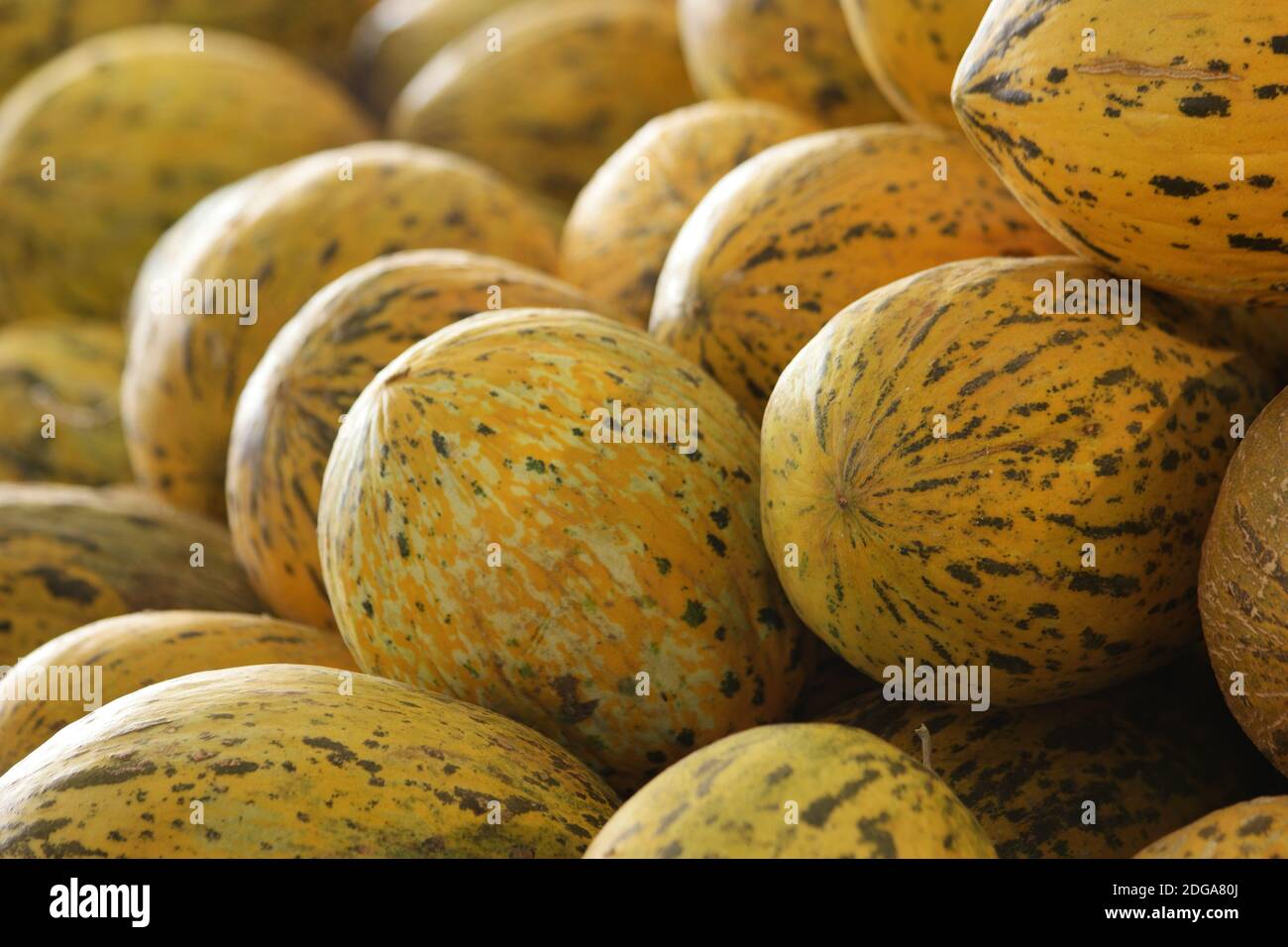 Heap striped melons close hi-res stock photography and images - Alamy