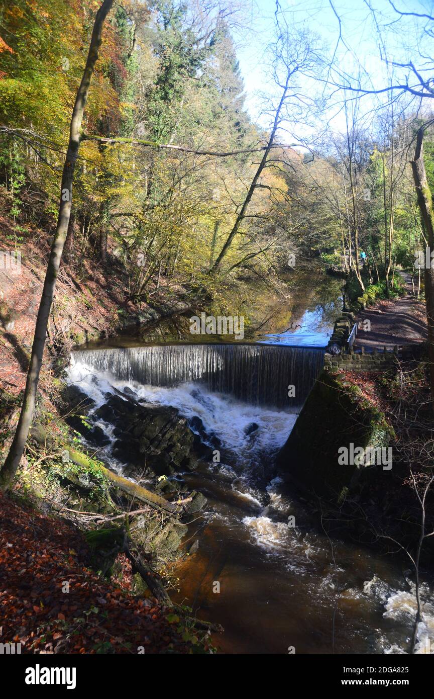 Beck river water riverbank hi-res stock photography and images - Alamy
