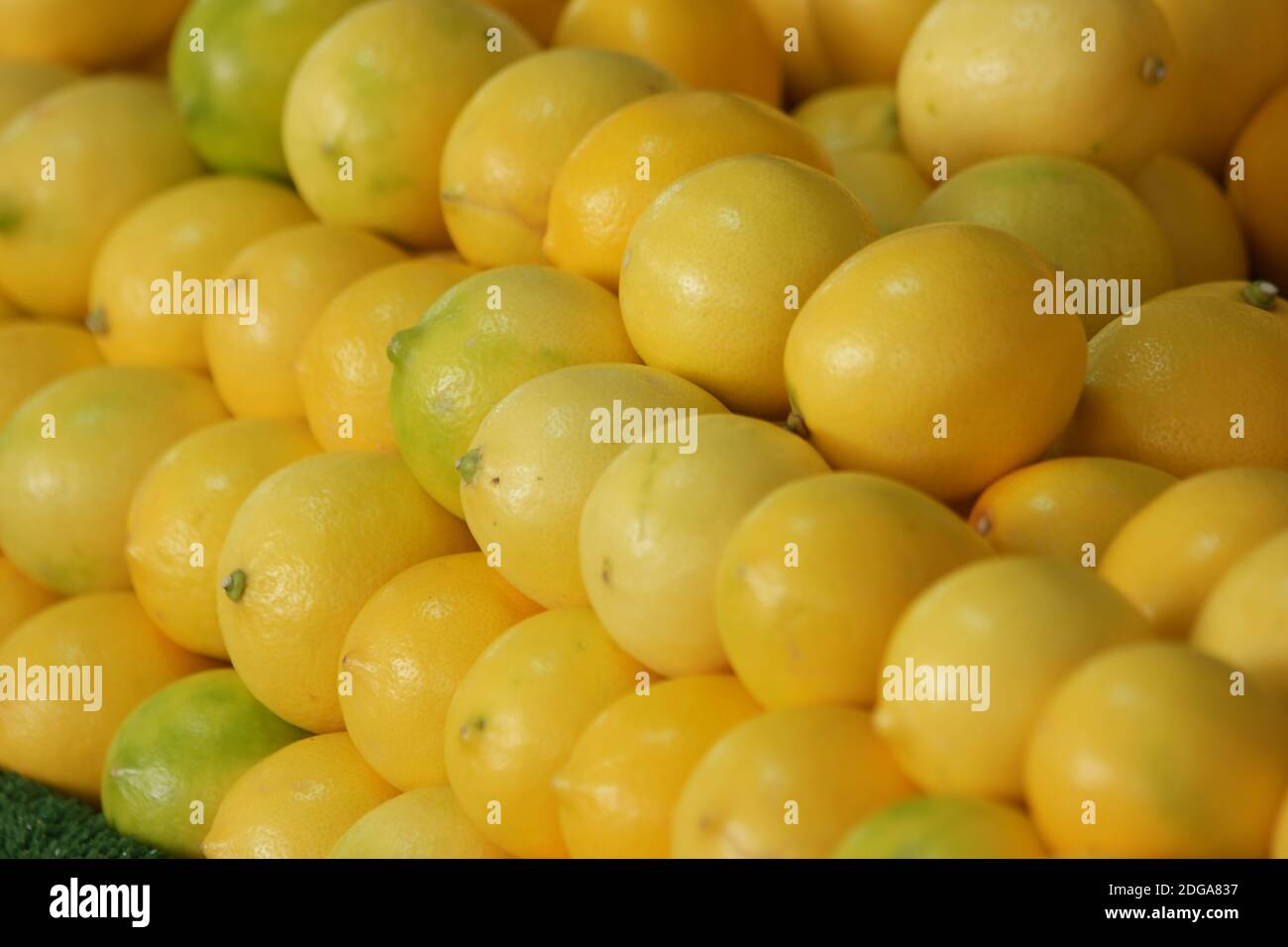 Display of lemons at fruits market Stock Photo - Alamy