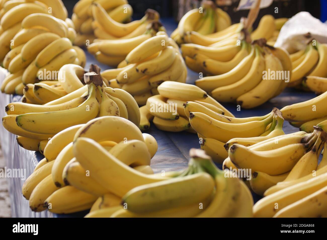 Market stall with ripe yellow bananas Stock Photo - Alamy