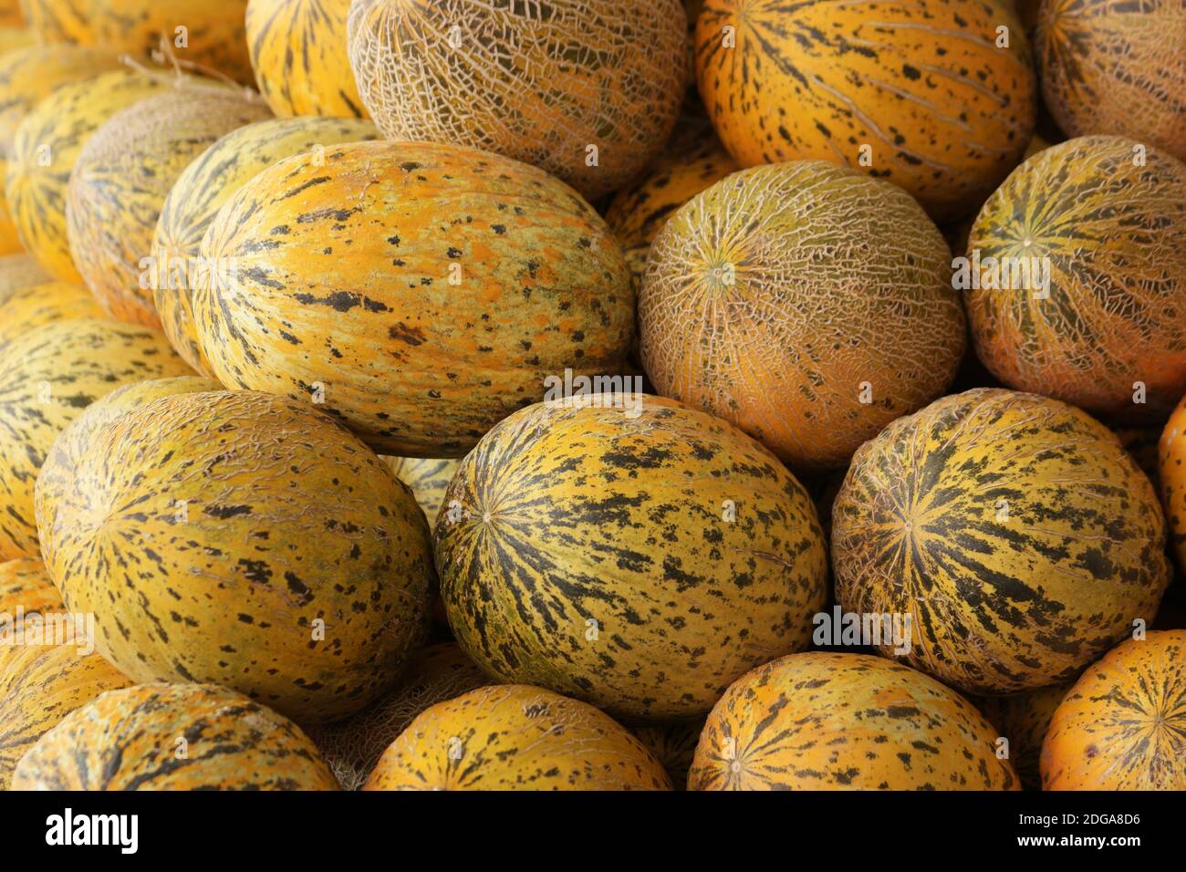 Stack of ripe melons for sale at farmers market Stock Photo - Alamy