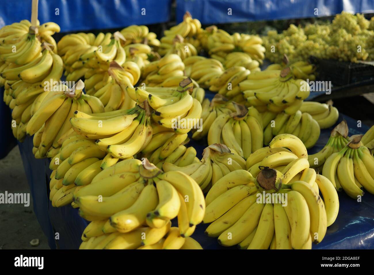 Pile of ripe bananas at market stall Stock Photo - Alamy