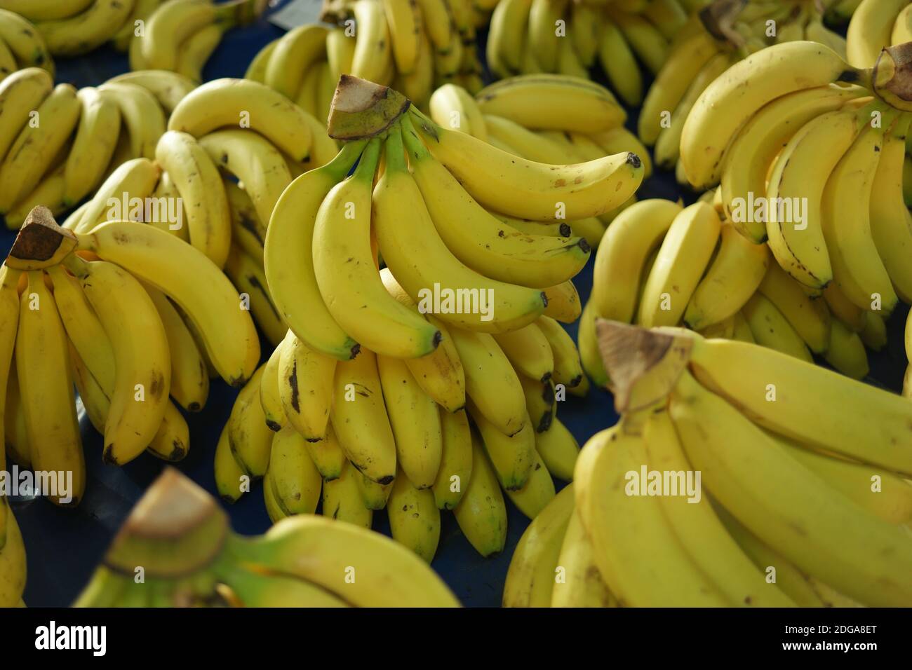 Bunches bananas on display hi-res stock photography and images - Alamy