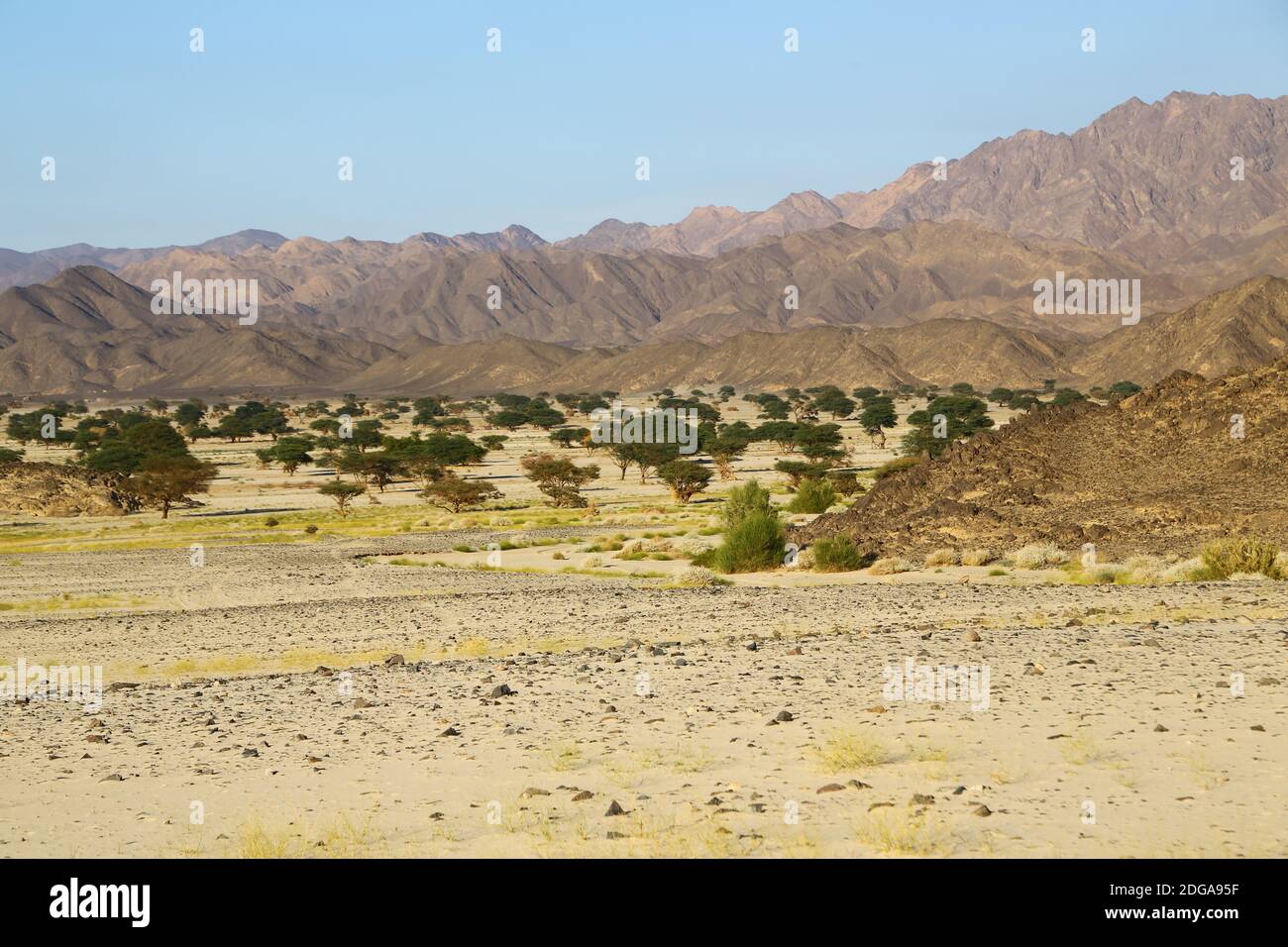In the middle of the desert Stock Photo - Alamy