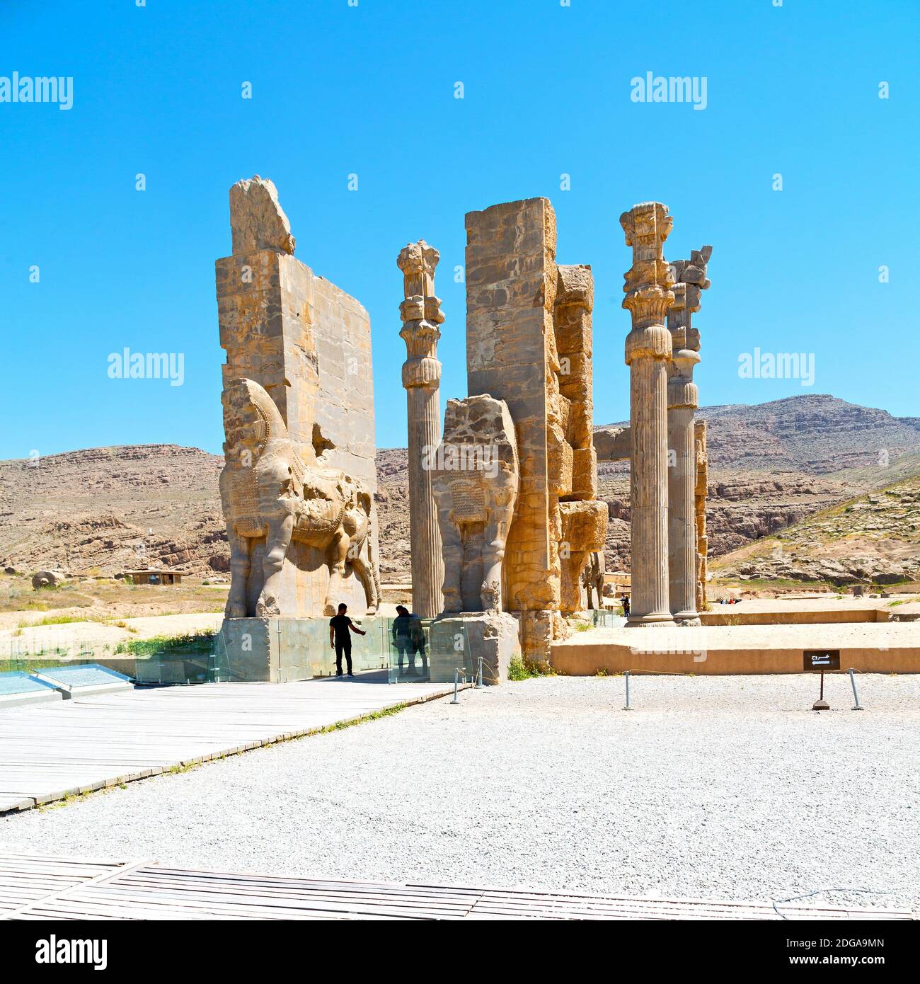In iran persepolis Stock Photo - Alamy