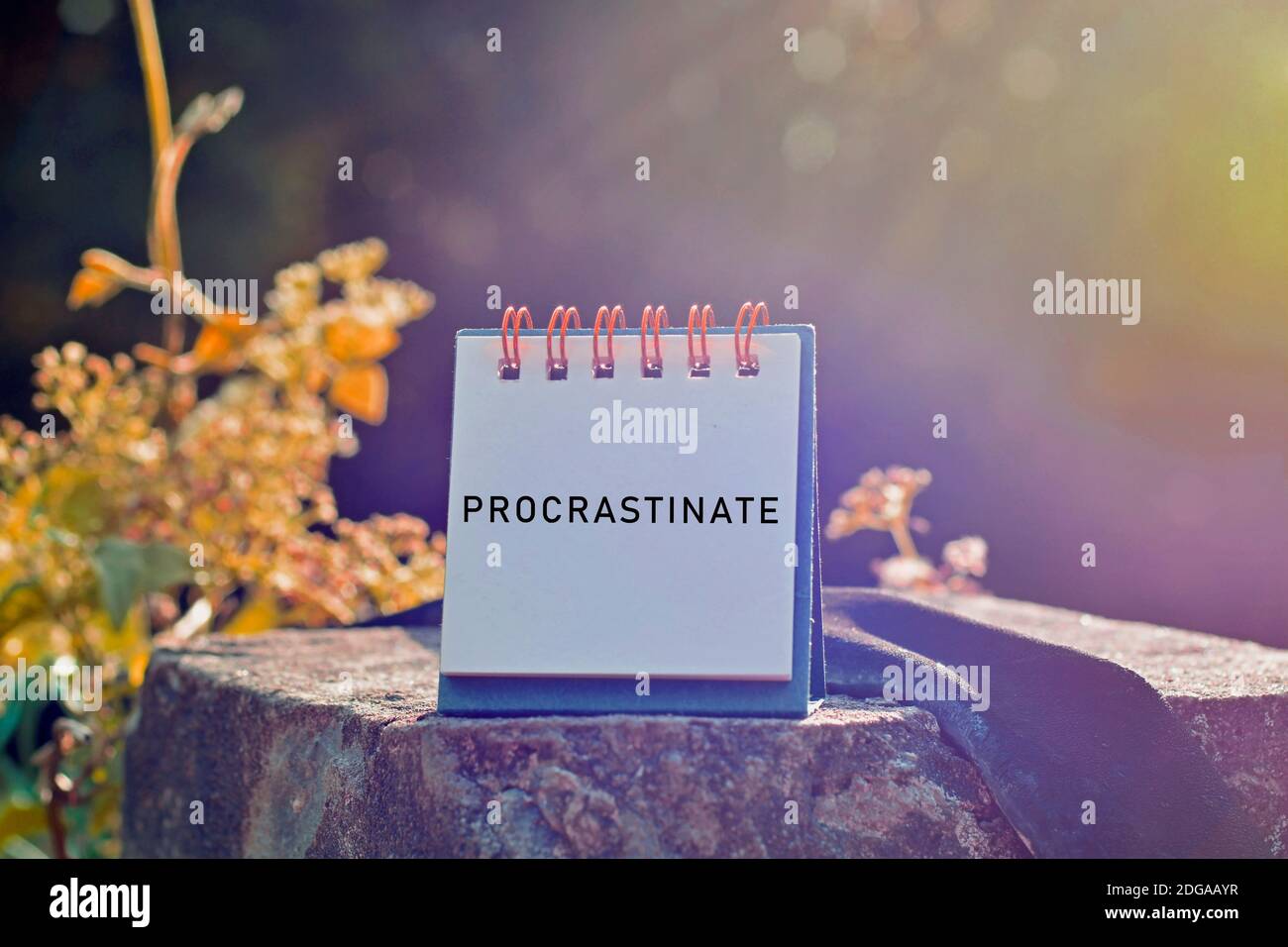 Procrastinate High Resolution Stock Photography and Images - Alamy