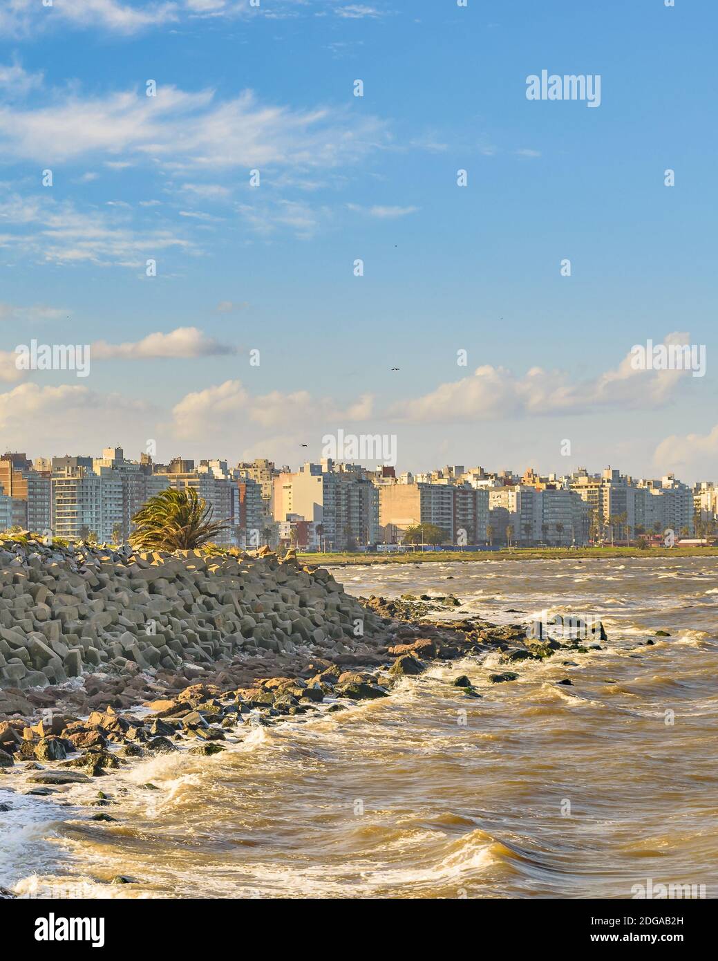Coastal city skyline beauty hi-res stock photography and images - Alamy