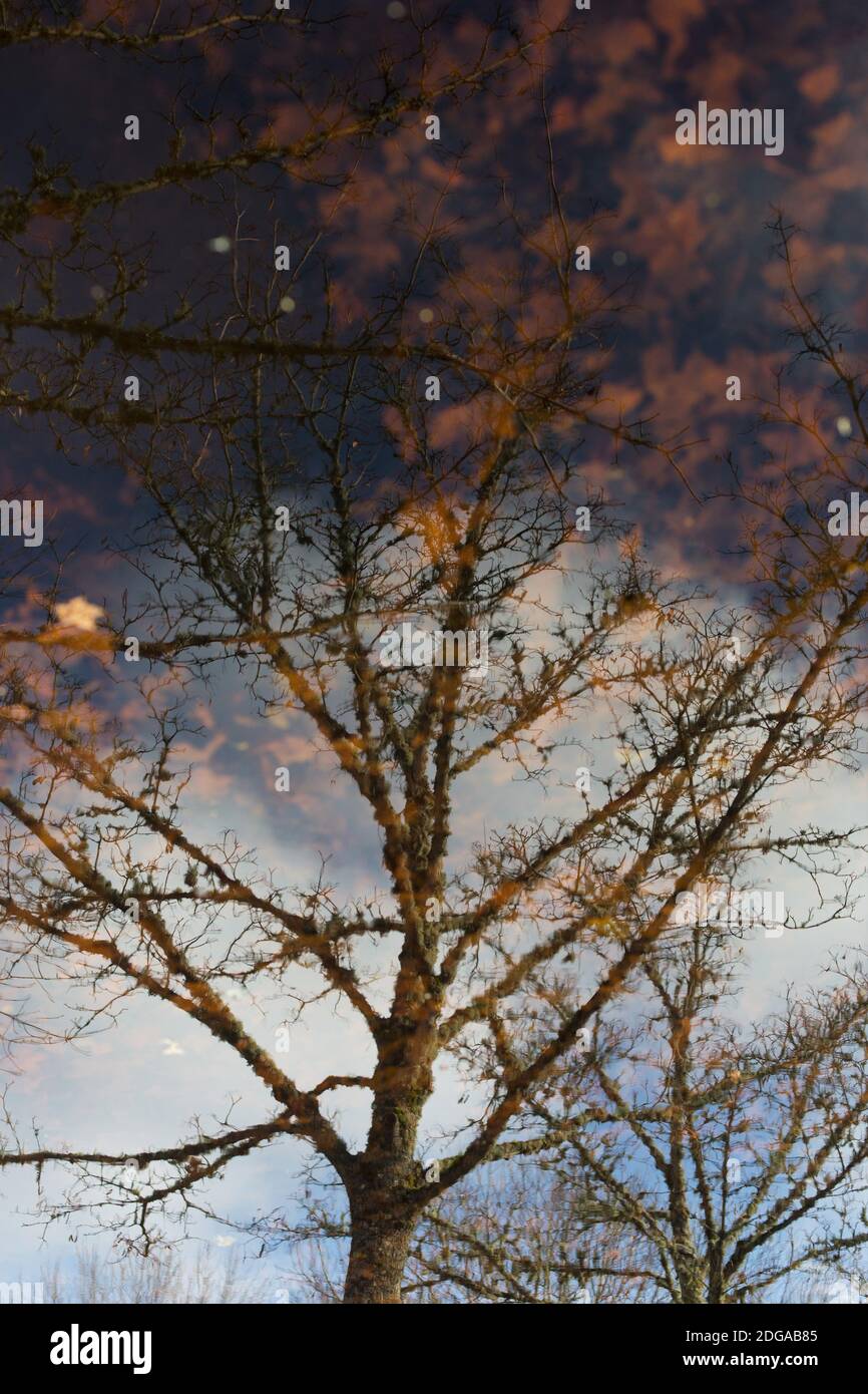 Reflected reflection reflecting hi-res stock photography and images - Alamy