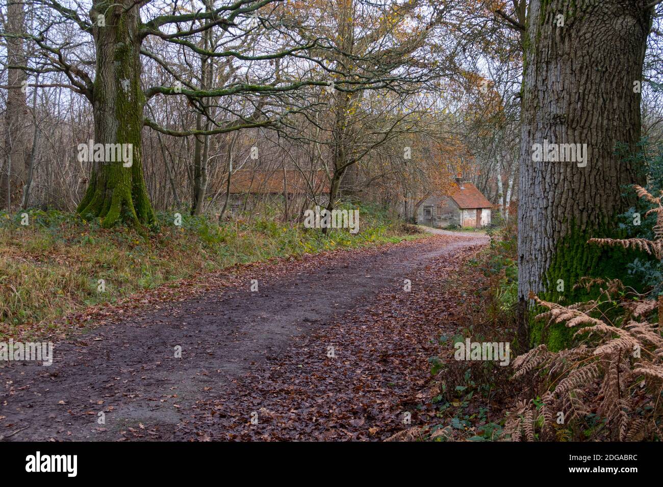 English country cottage farm hi-res stock photography and images - Alamy
