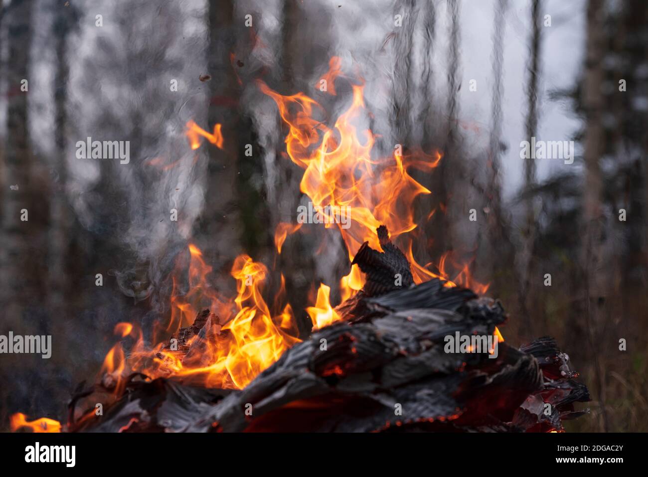 Pile of burning cardboard and waste paper Stock Photo - Alamy