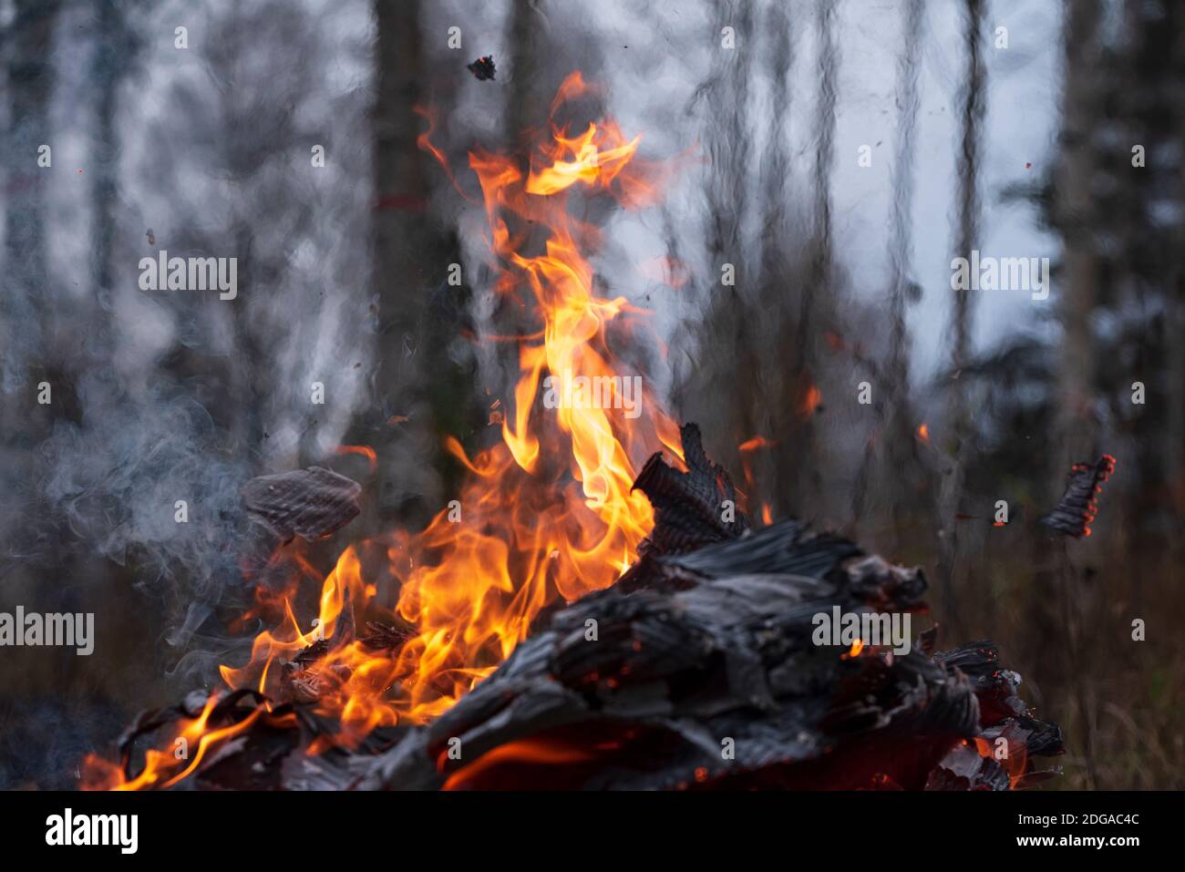 Pile of burning cardboard and waste paper Stock Photo - Alamy