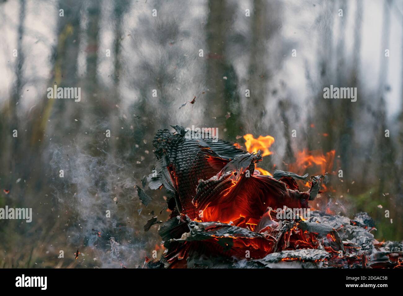 Pile of burning cardboard and waste paper Stock Photo - Alamy