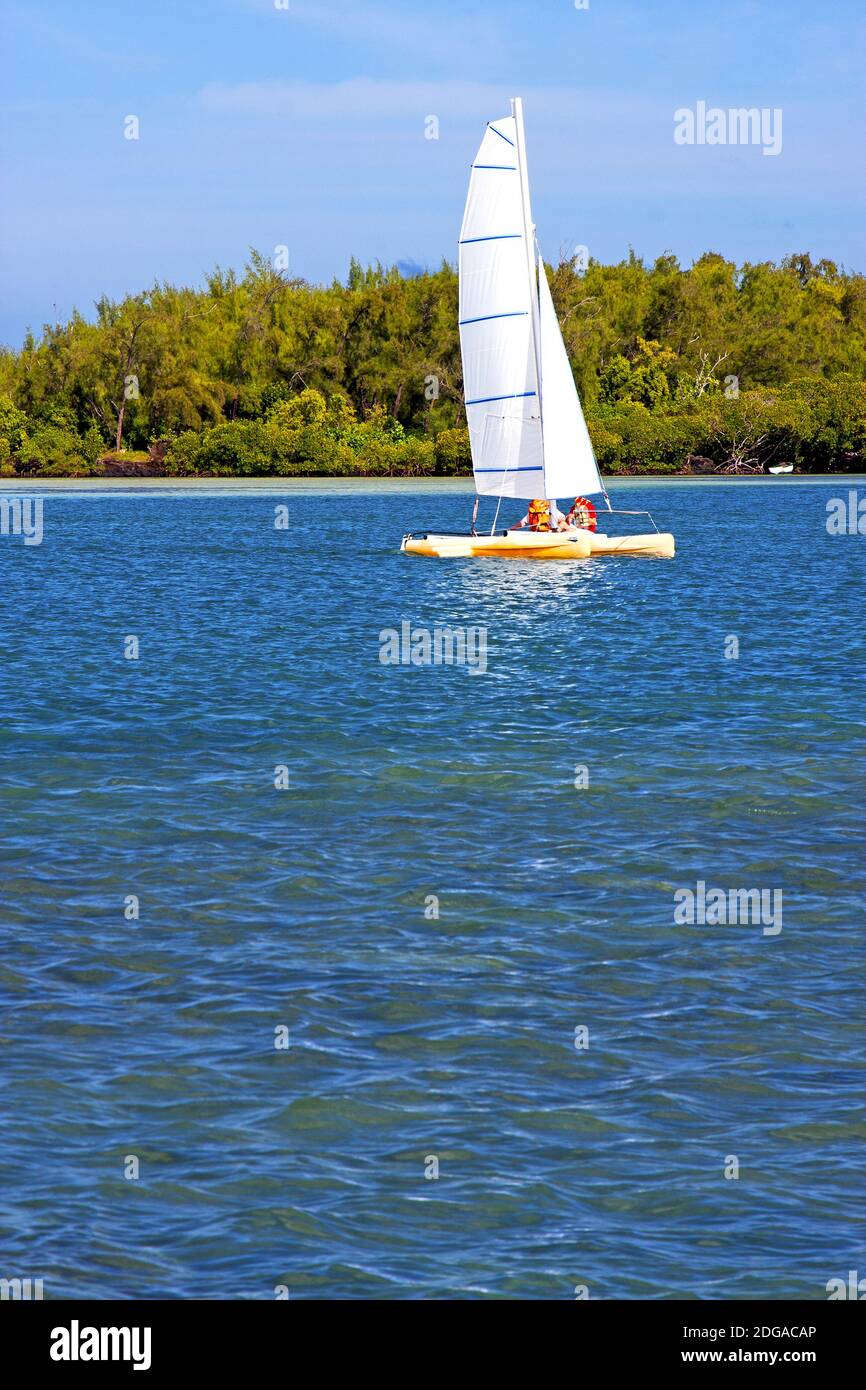 Beach ile du cerfs seaweed indian ocean sailing Stock Photo - Alamy
