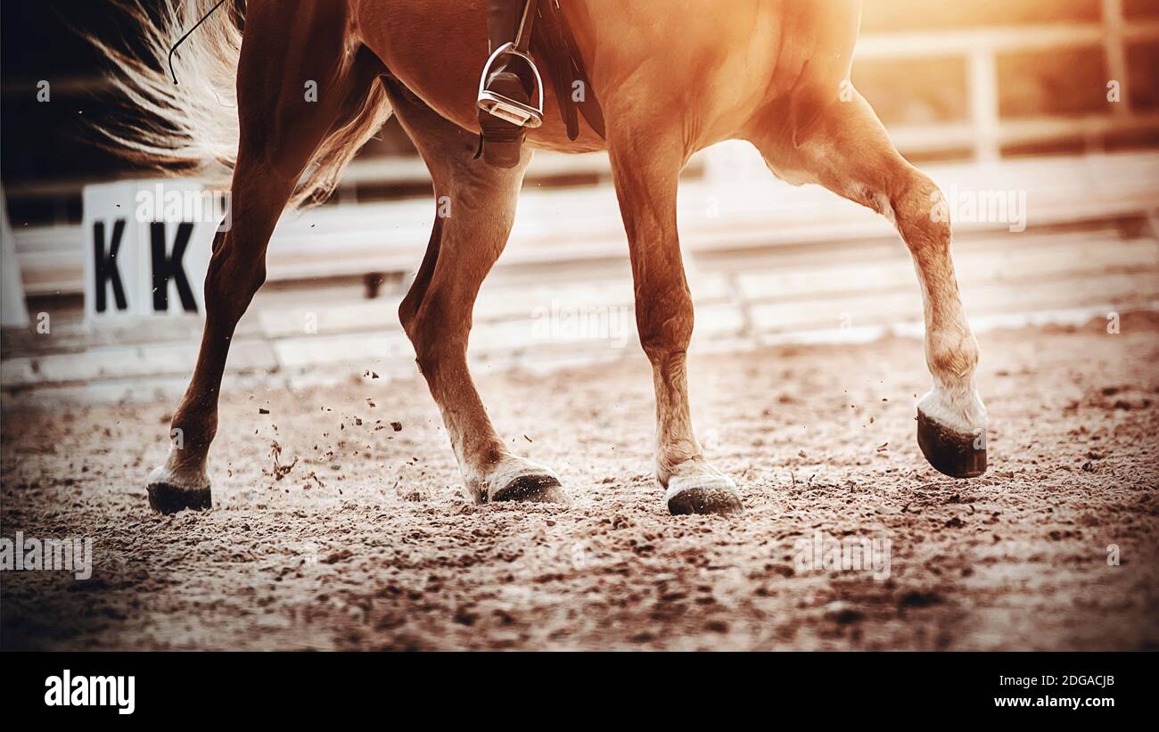 Galloping horse hooves hi-res stock photography and images - Alamy