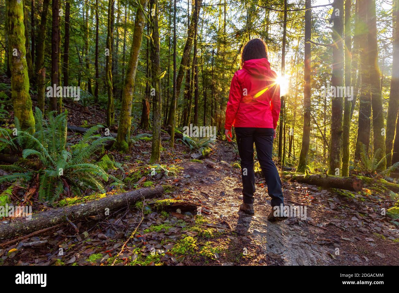 Adventurous Girl Hiking in Canadian Nature Stock Photo - Alamy