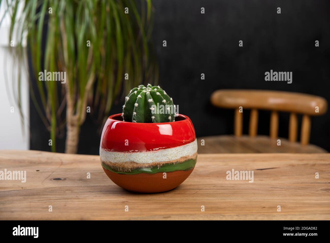 Cactus pot side view hi-res stock photography and images - Alamy
