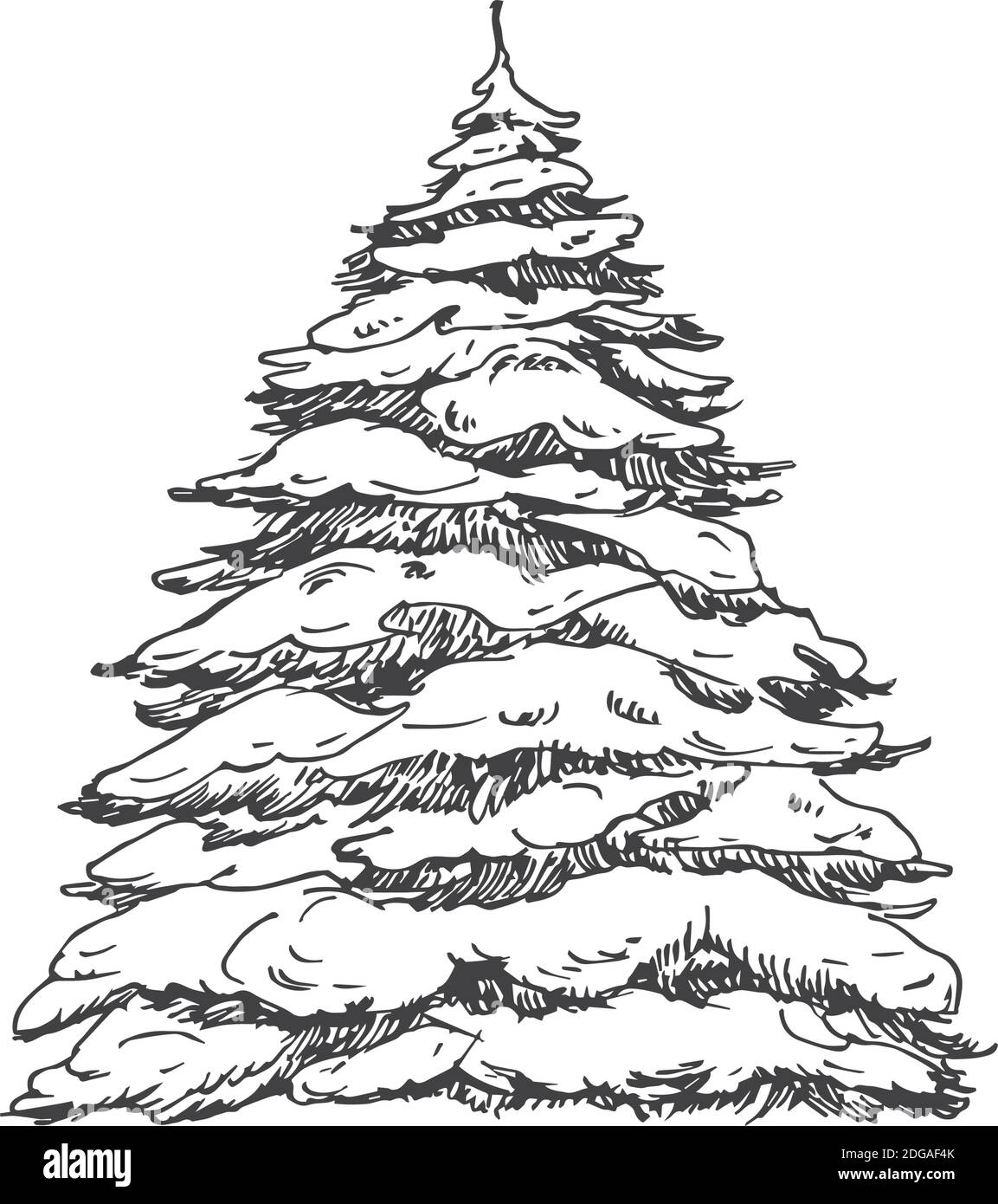 Hand Drawn Christmas Tree Covered with Snow Vector Illustration ...