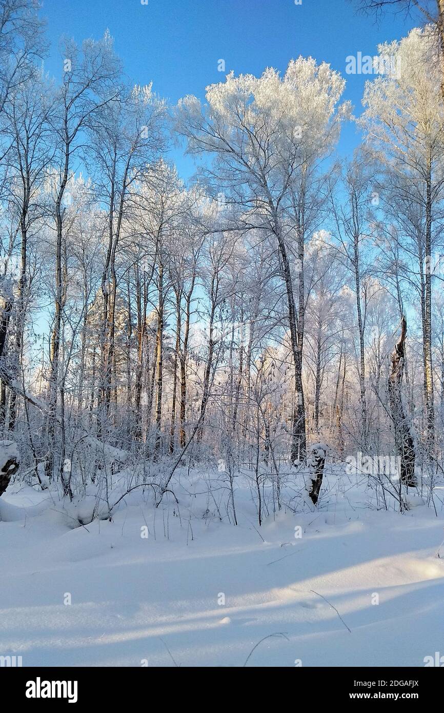 Remote forest landscape winter hi-res stock photography and images - Alamy