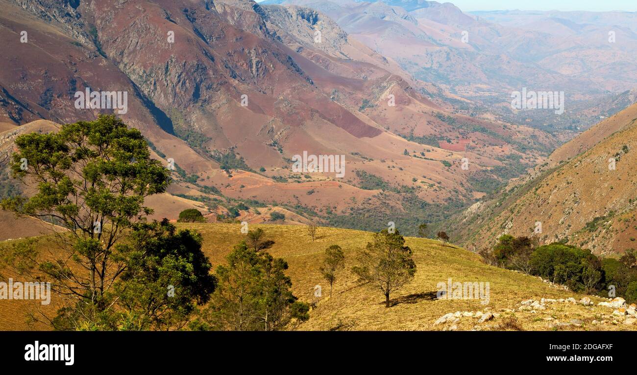 In swaziland wildlife nature reserve Stock Photo - Alamy