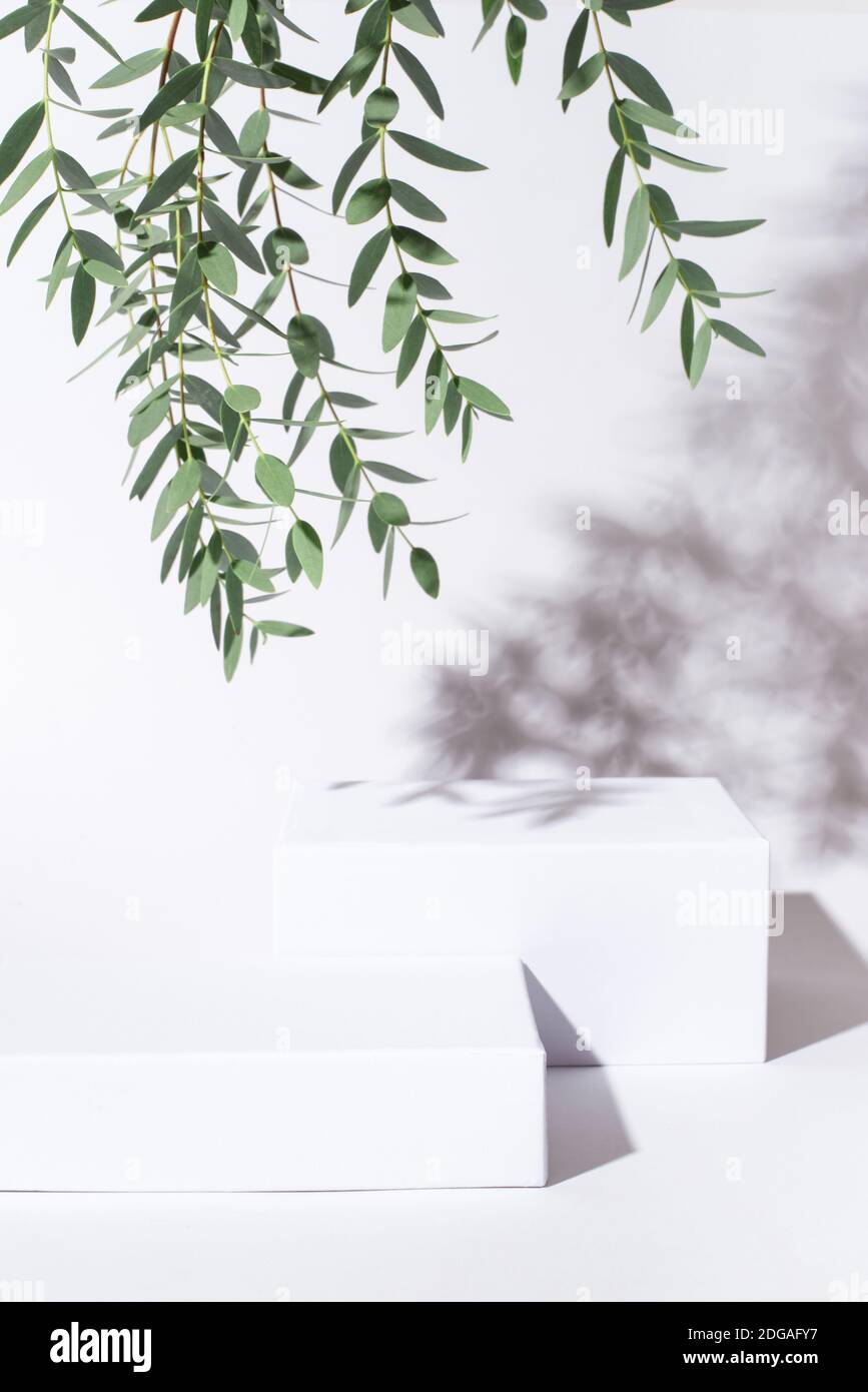 White background for cosmetic products Stock Photo - Alamy