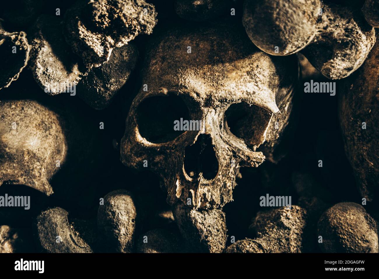 A closeup shot of damaged weathered creepy human skulls and bones Stock ...