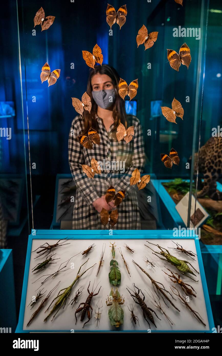 London, UK. 8th Dec, 2020. EMBARGOED TILL 00.01 09 Dec 2020 - Dead Leaf ...