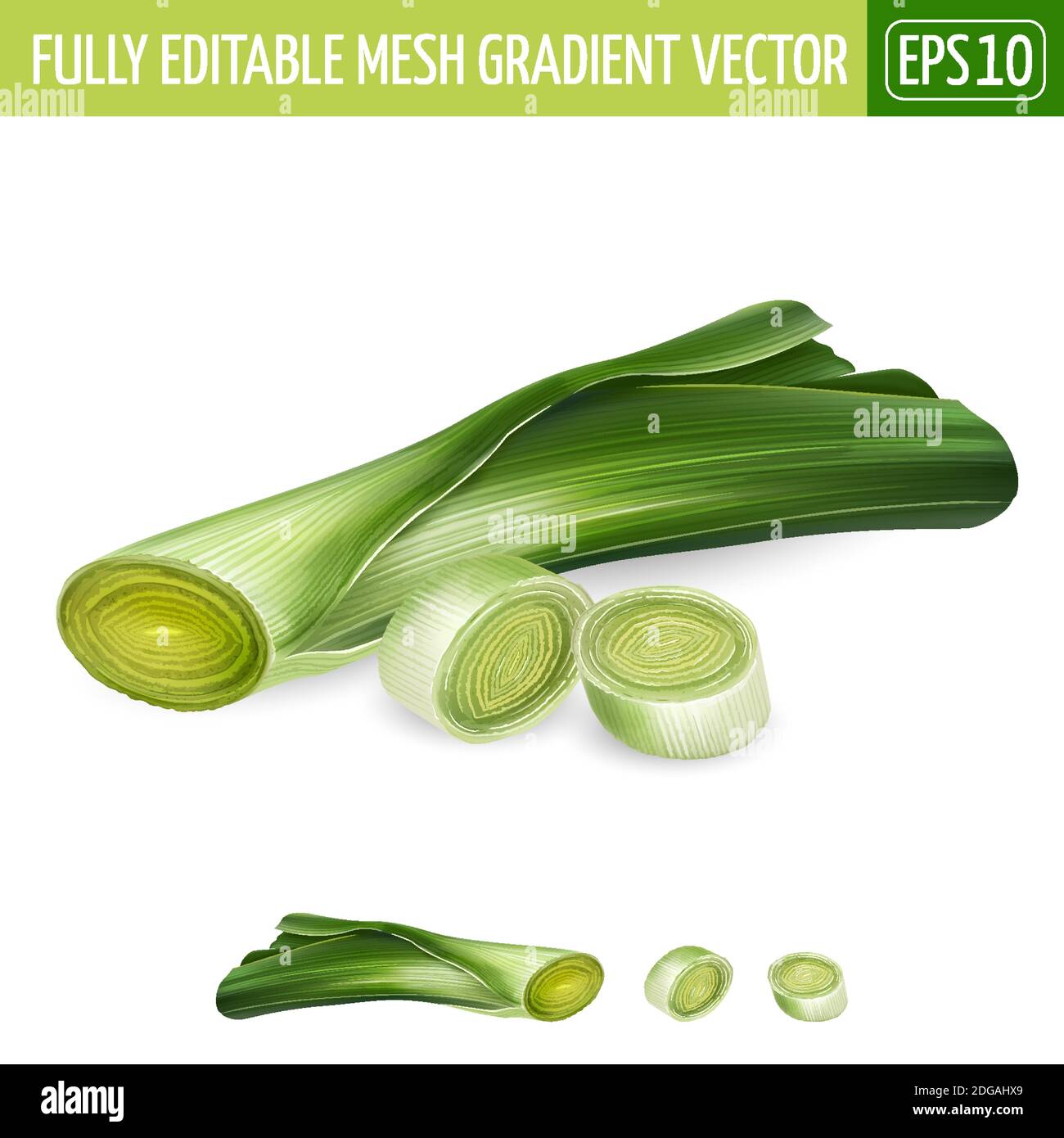 Fresh sliced leek illustration on white background Stock Vector Image ...