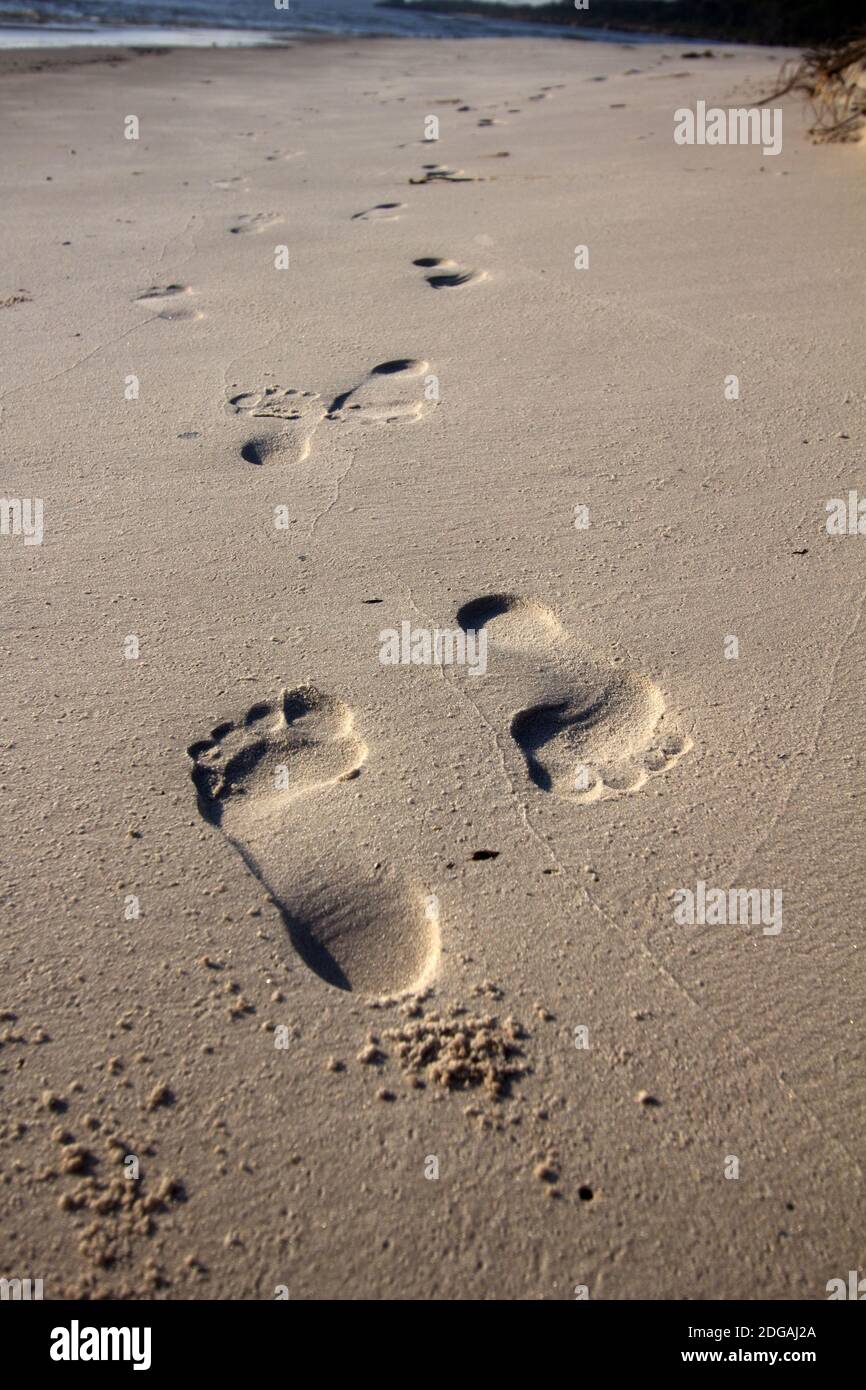 Footprints in the Sand Going in Opposite Directions Stock Photo - Alamy