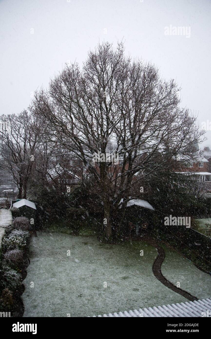 Frosty scenes hi-res stock photography and images - Alamy