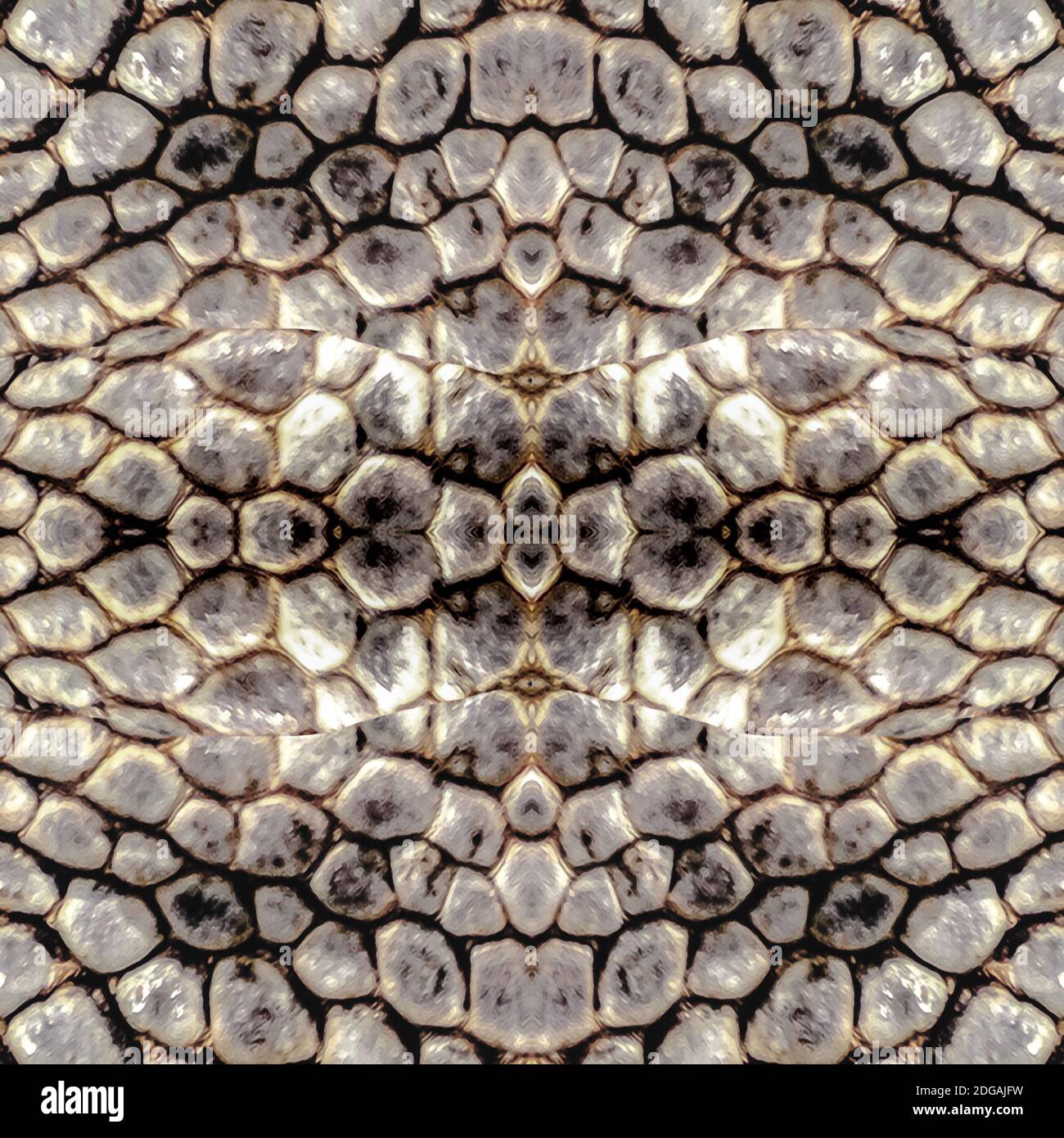 Stylized snake hi-res stock photography and images - Alamy