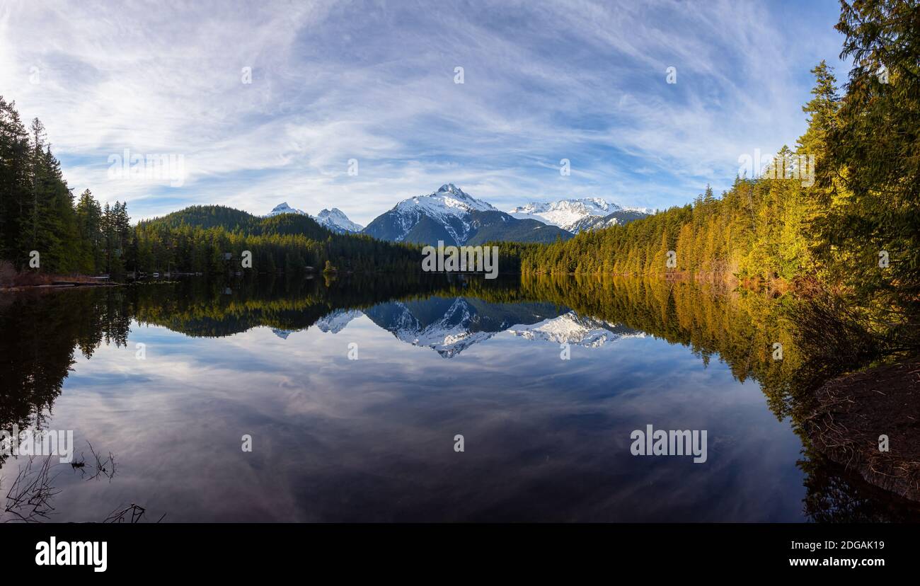 Levette hi-res stock photography and images - Alamy