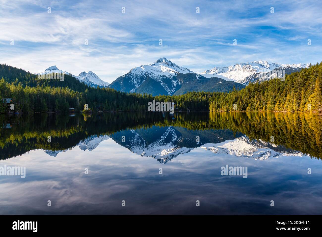 Levette hi-res stock photography and images - Alamy