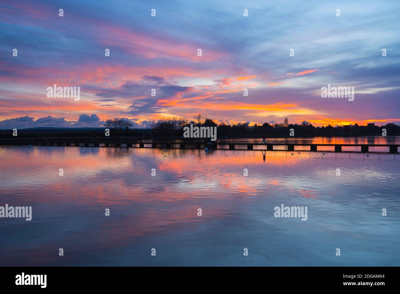 Poole park hi-res stock photography and images - Alamy