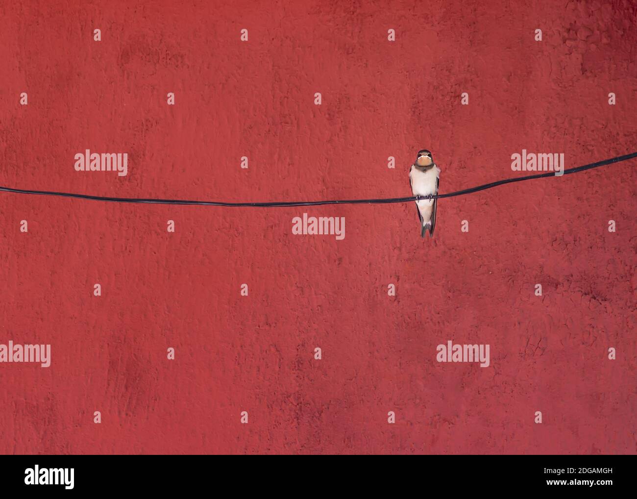 Notion picture hi-res stock photography and images - Alamy