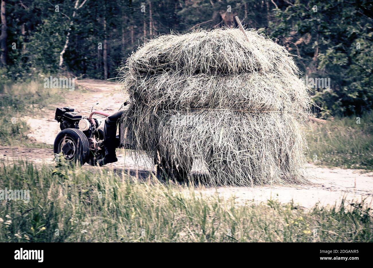 Farmer on a small tractor carrying hay Stock Photo - Alamy