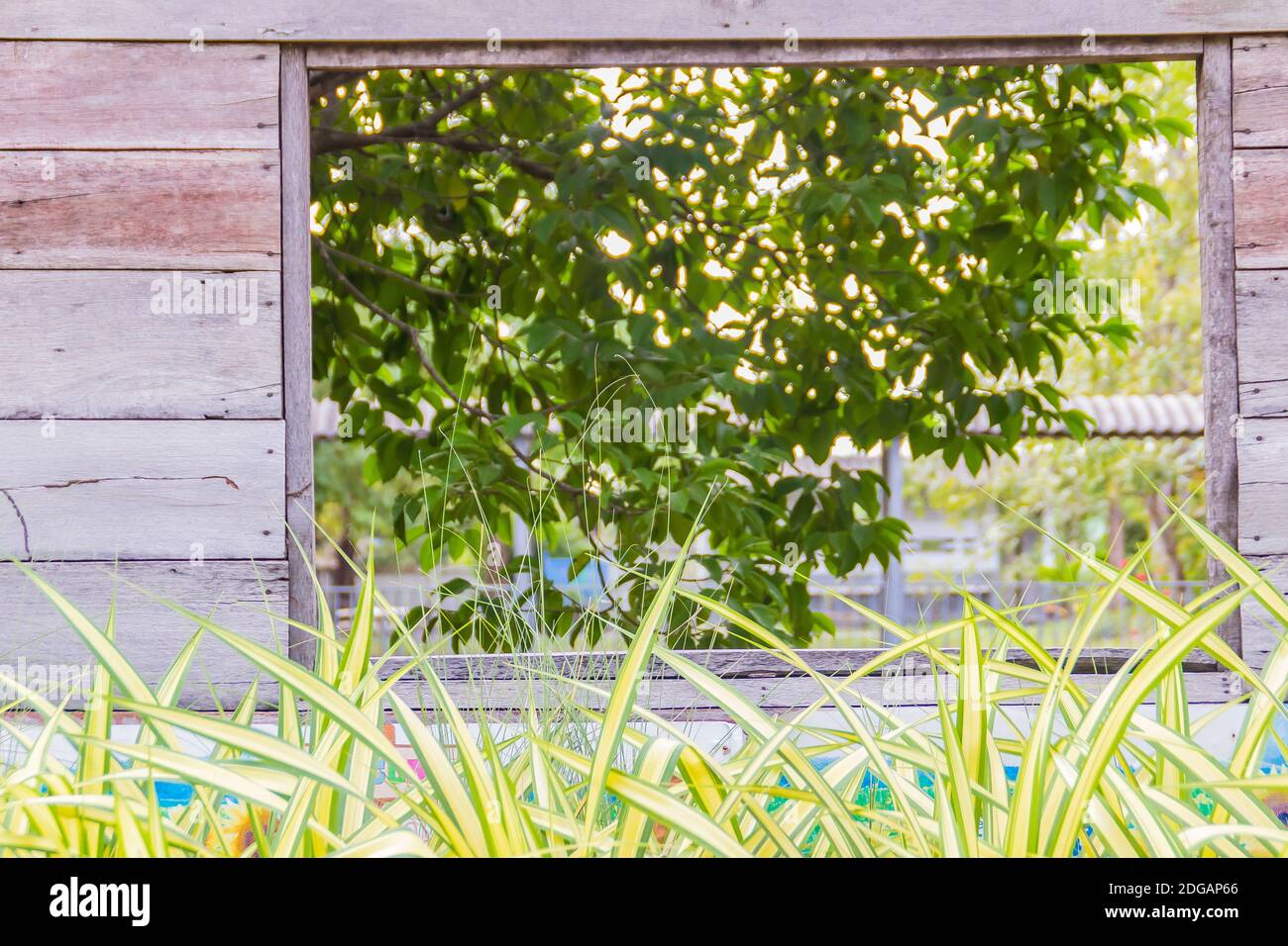 Wooden square frame on green leaves in the garden background. Abstract ...
