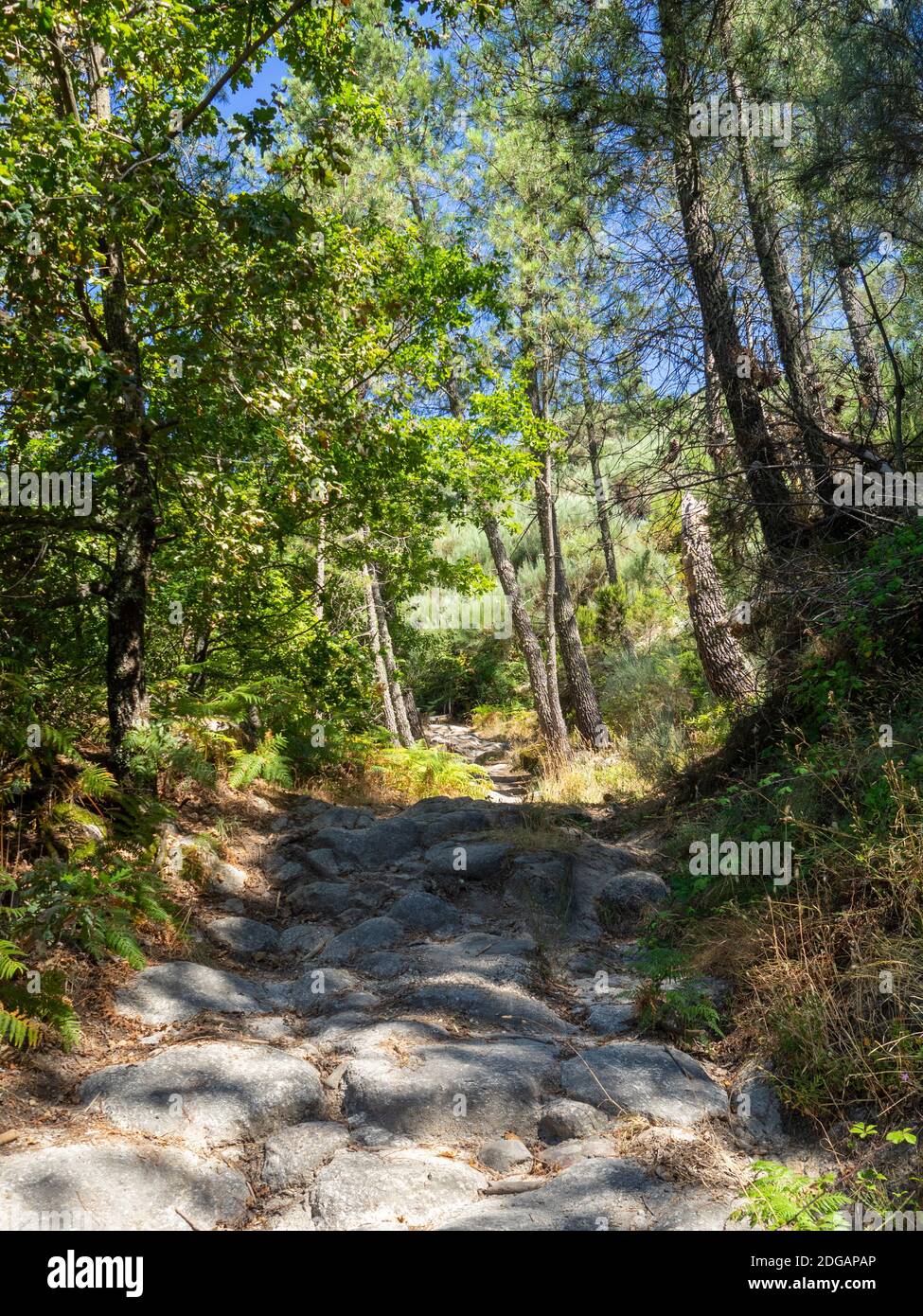 Blue sky with clouds and walking path hi-res stock photography and ...