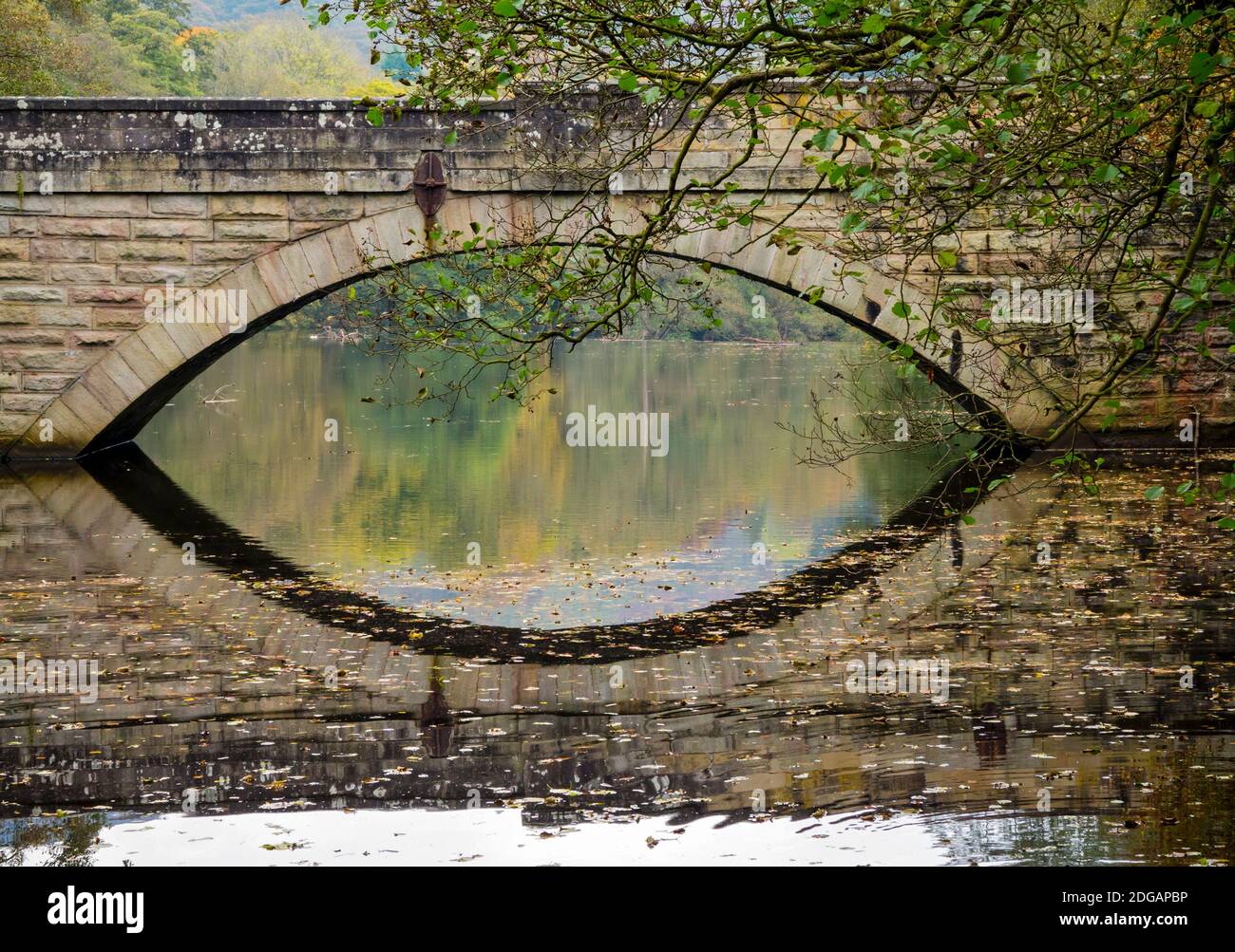 River bridge calm trees hi-res stock photography and images - Alamy