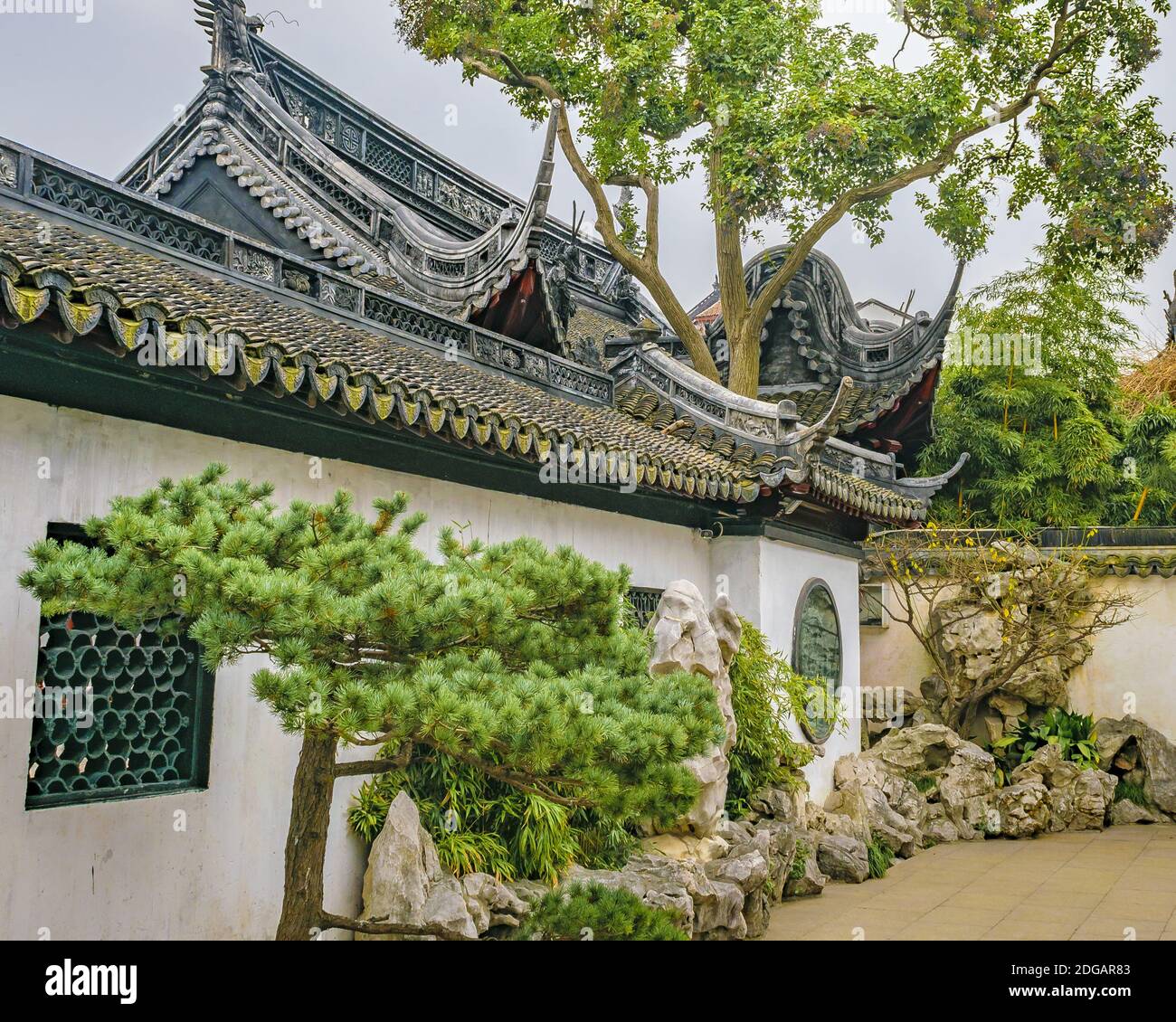 Shanghai temple trees hi-res stock photography and images - Alamy
