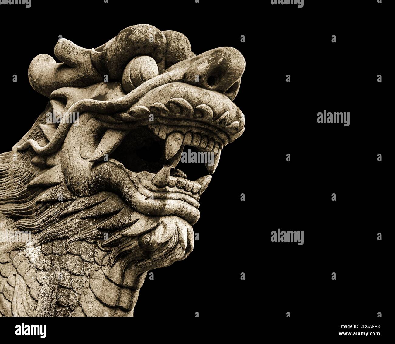 Scary lion hi-res stock photography and images - Alamy