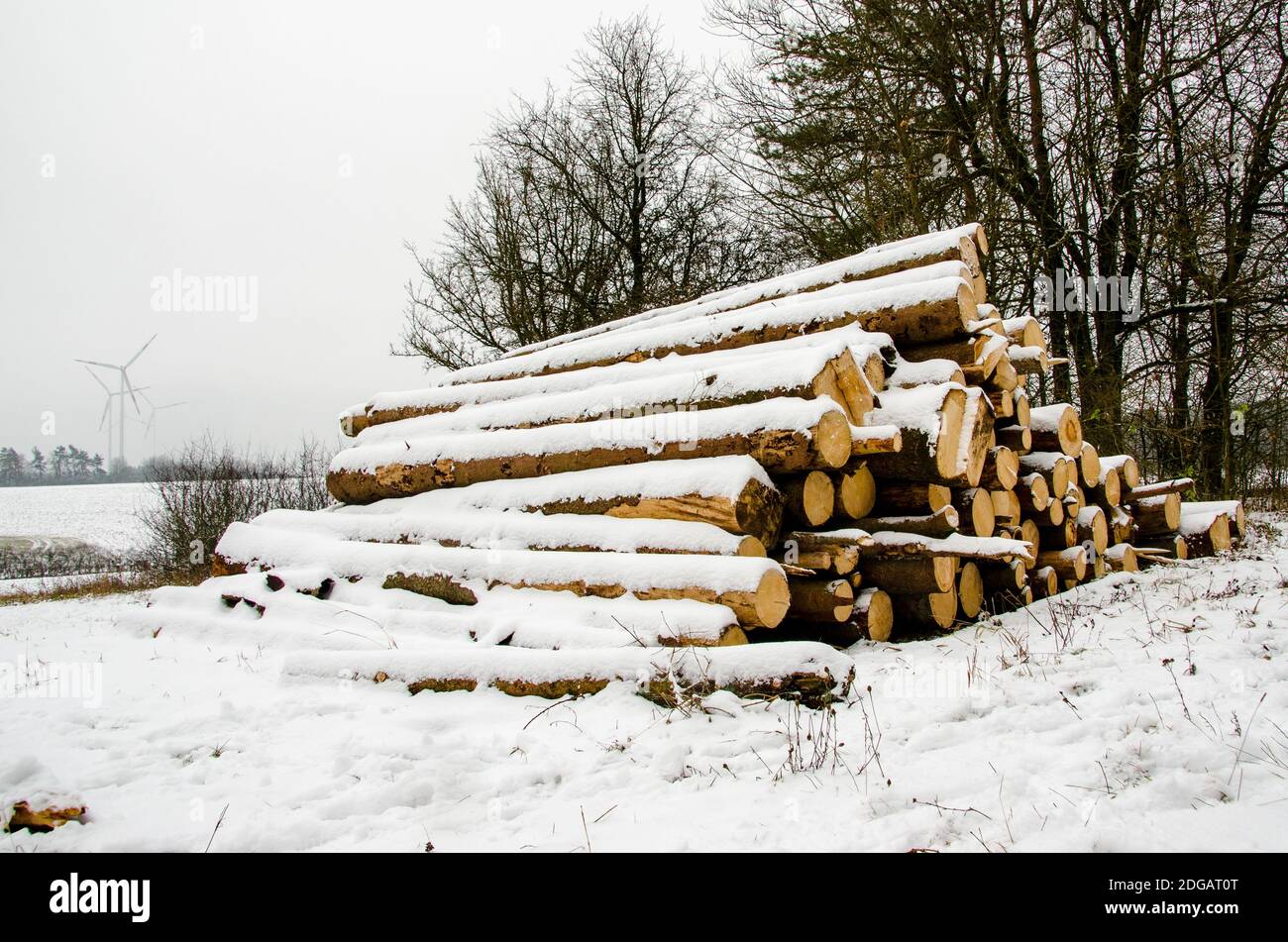 Snow covered log pile hi-res stock photography and images - Alamy
