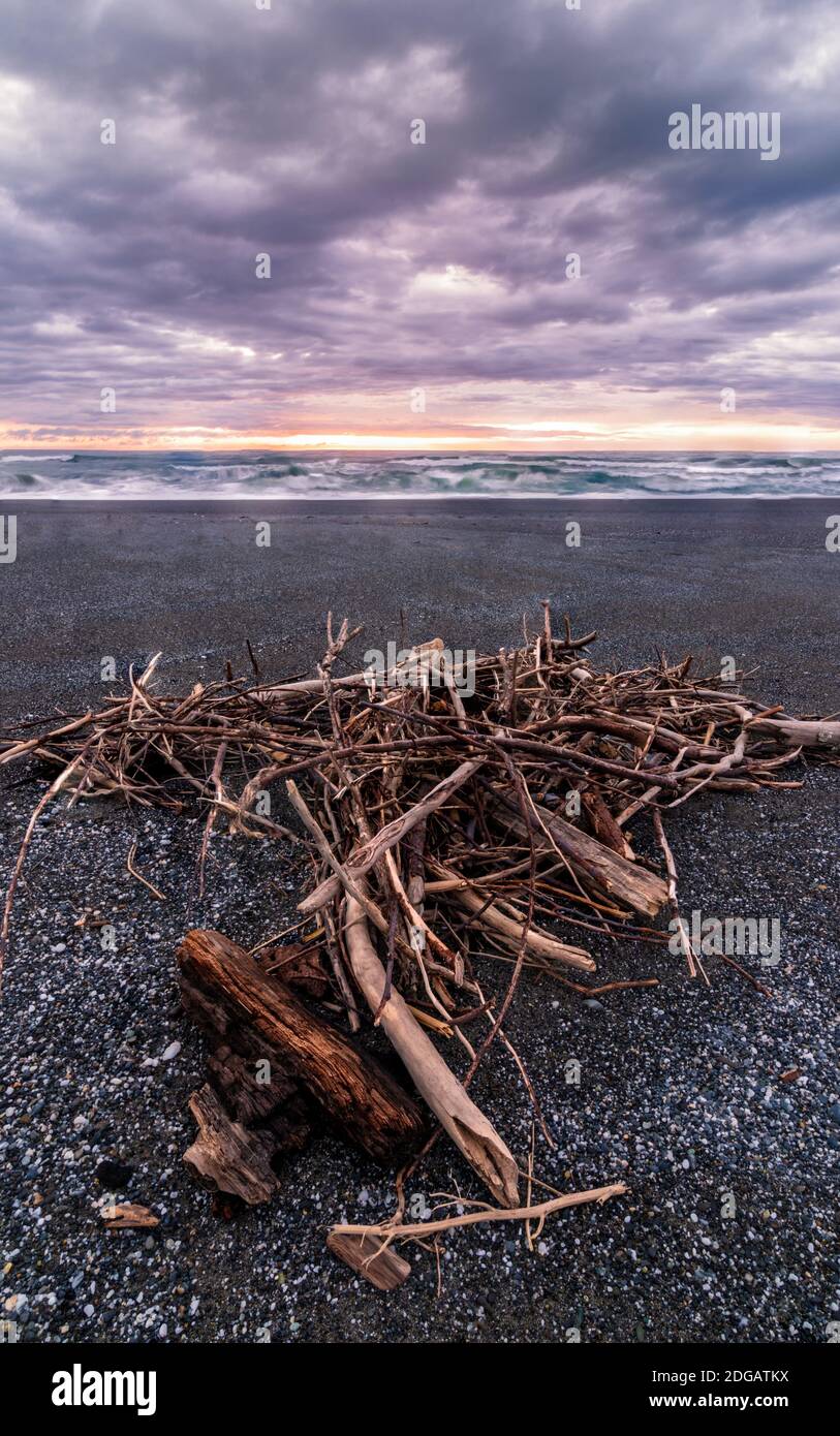 Can You Take Driftwood From California Beaches at Ellen Baeza blog